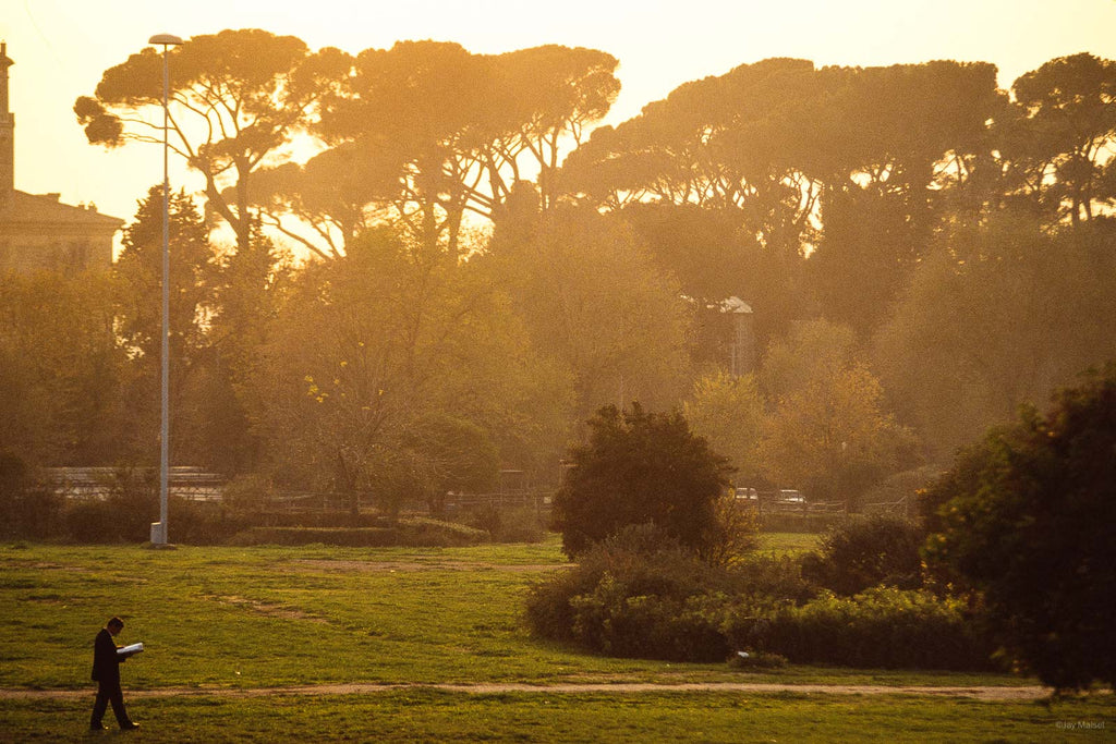 Reading No 1 – Jay Maisel