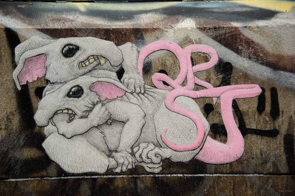 Graffiti No 4 – Jay Maisel