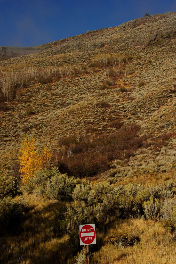 Jackson, WYO No 10 – Jay Maisel