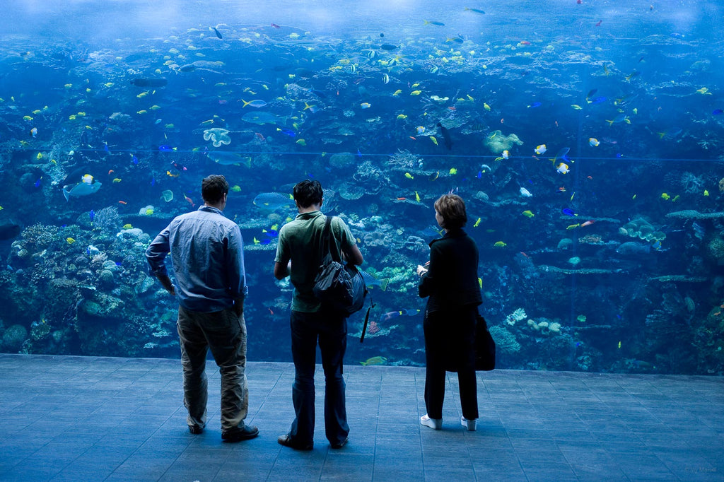 Trios No 12 – Jay Maisel