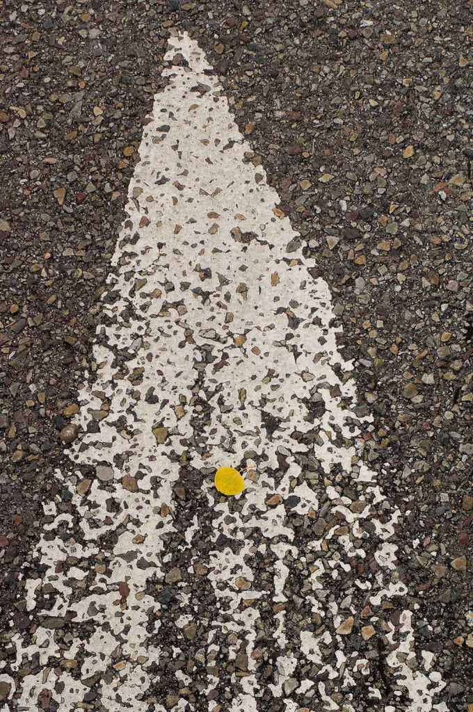 Jackson, WYO No 20 – Jay Maisel