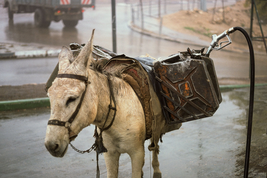 Humor No 23 – Jay Maisel