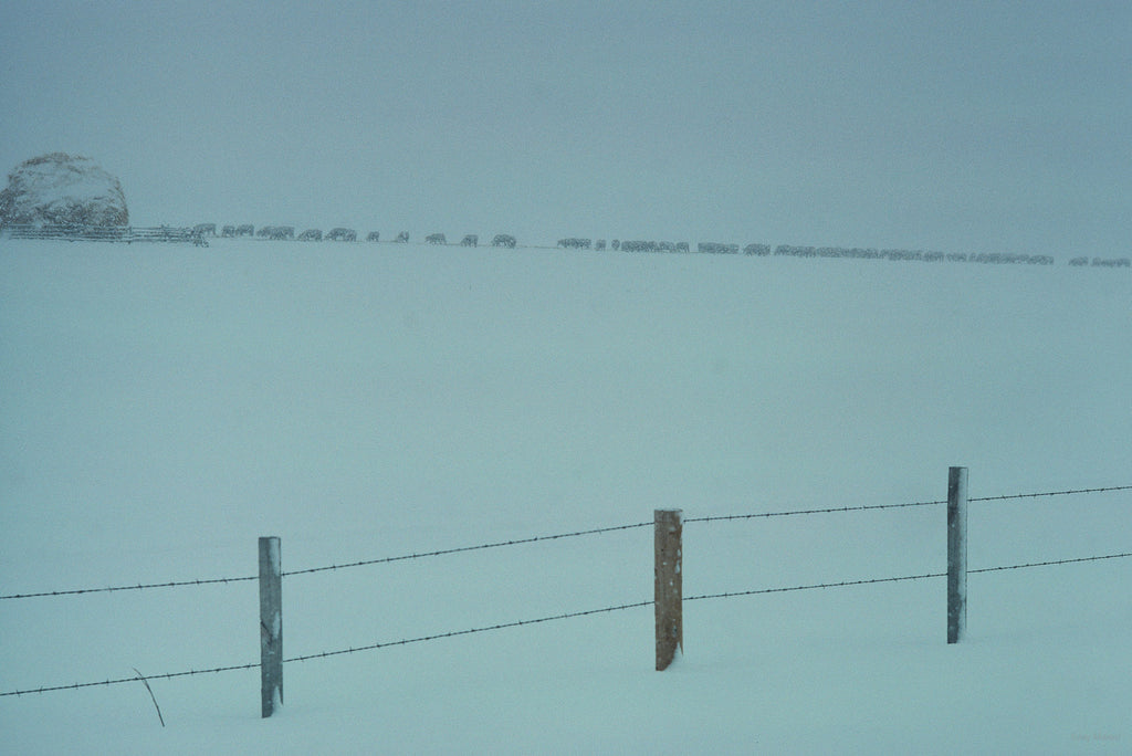 Snow in the Country No 25 – Jay Maisel