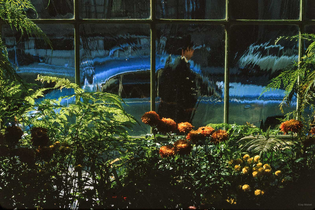 Storefronts No 29 – Jay Maisel