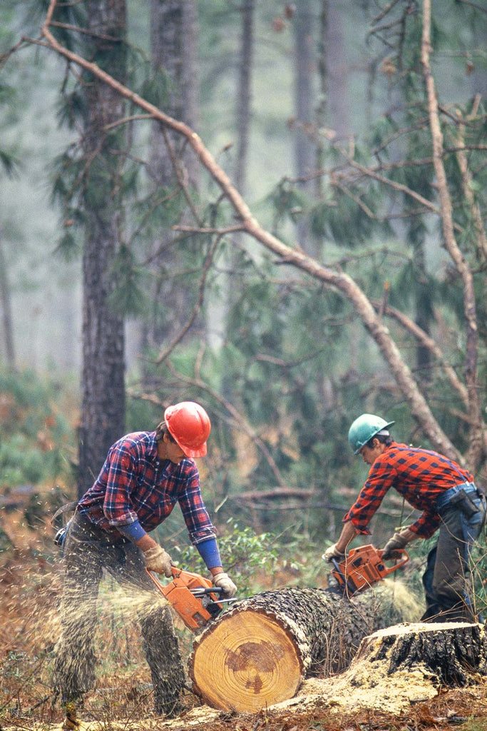 X-USA People No 33 – Jay Maisel