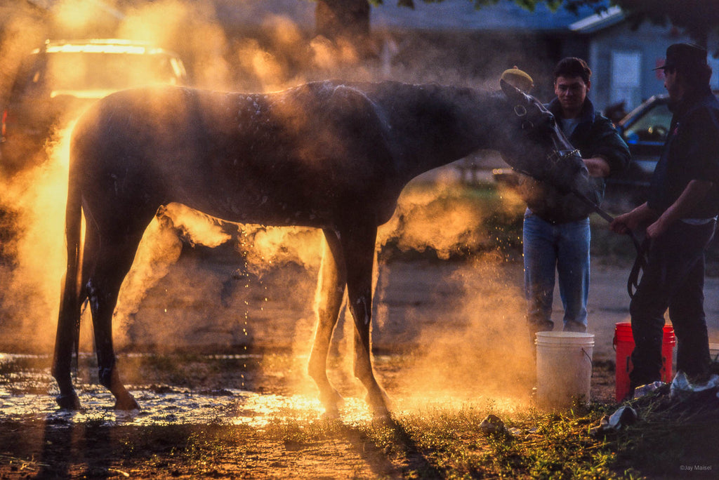 Saratoga No 37 – Jay Maisel
