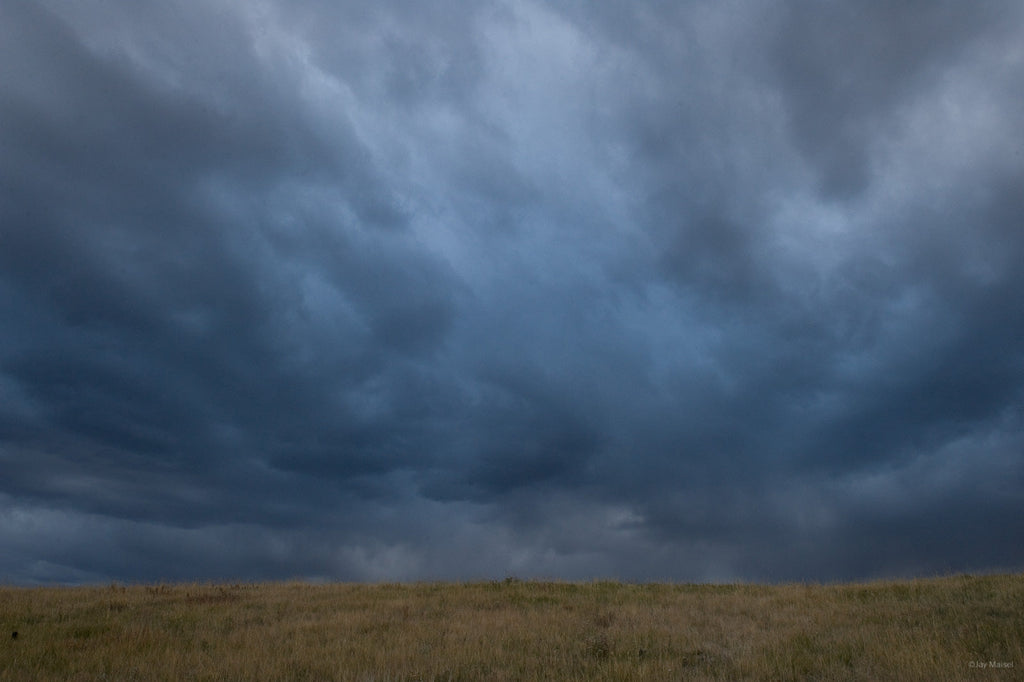 Jackson, WYO No 39 – Jay Maisel