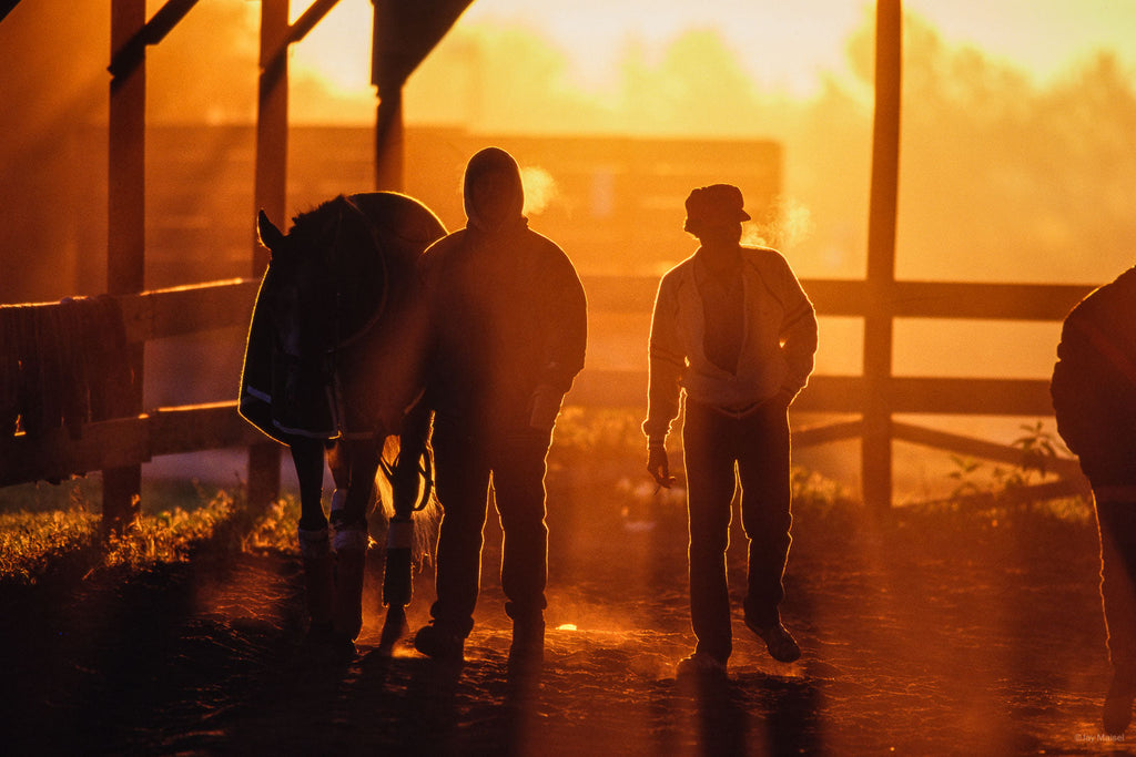 Saratoga No 39 – Jay Maisel