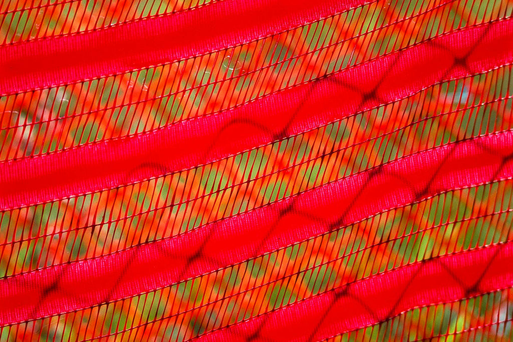 Aspen No 40 – Jay Maisel