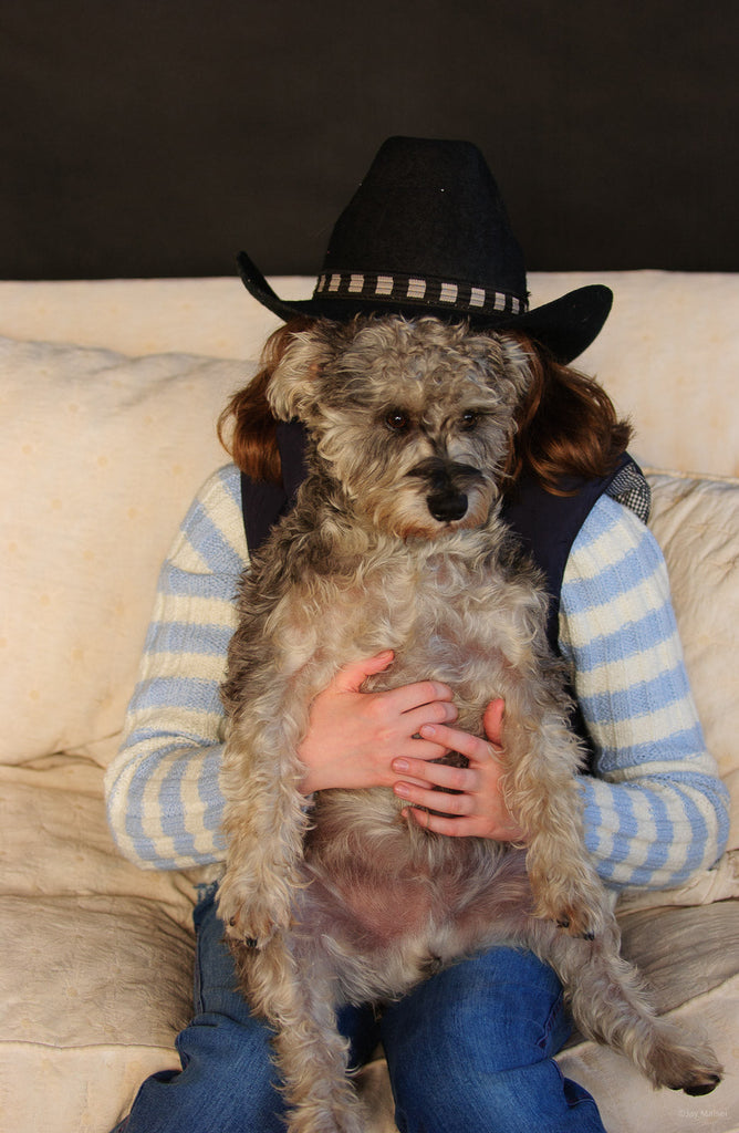 Humor No 41 – Jay Maisel