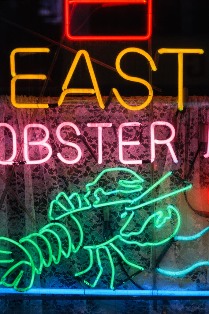 Animals No 41 – Jay Maisel