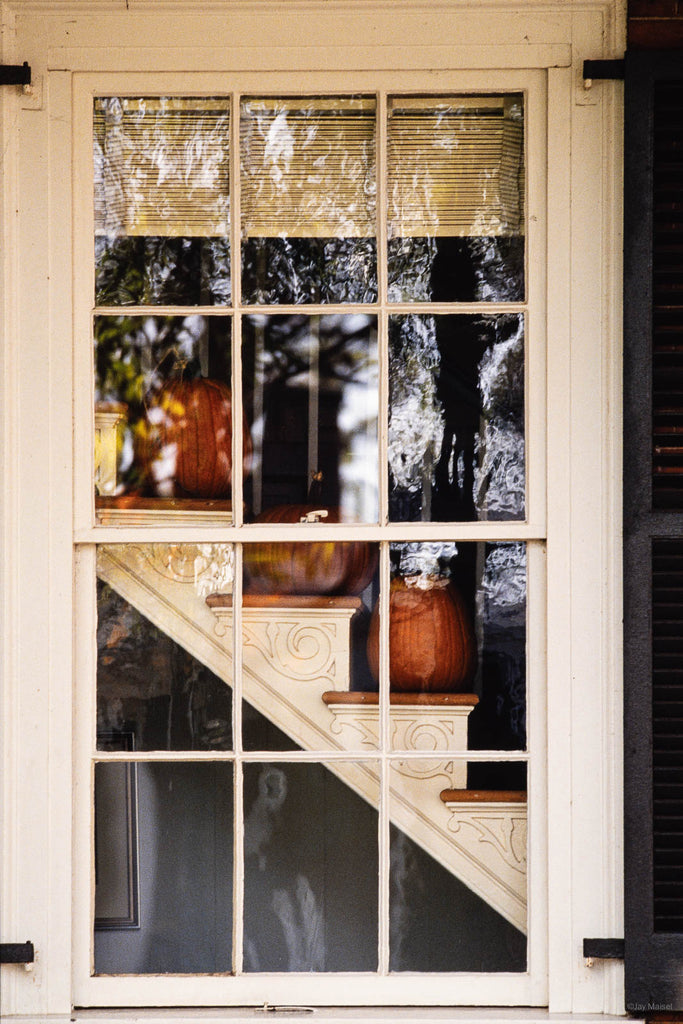 Thomas Jefferson No 41, UVA – Jay Maisel