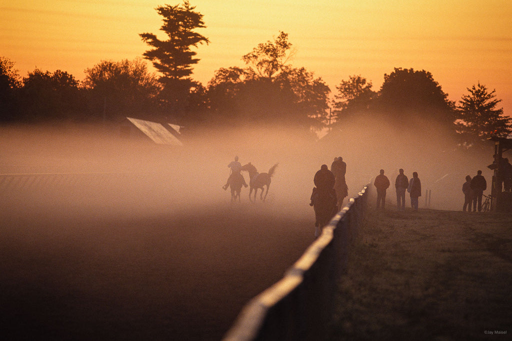Saratoga No 41 – Jay Maisel