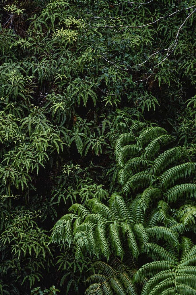 Hawaii Land No 42 – Jay Maisel