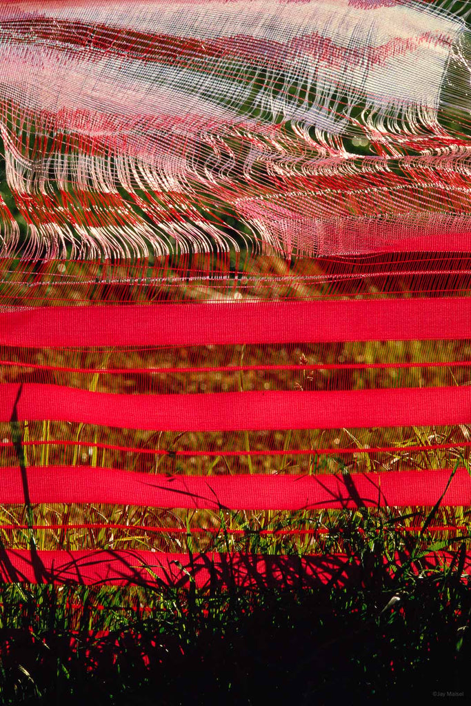 Aspen No 43 – Jay Maisel