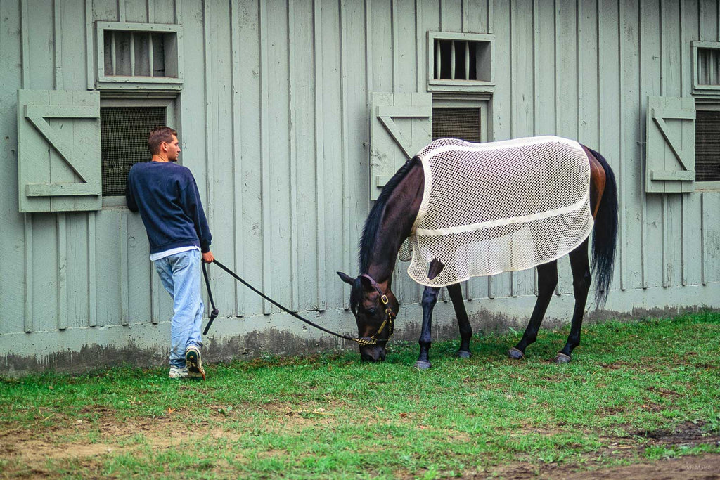 Saratoga No 43 – Jay Maisel