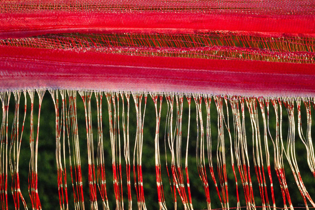 Aspen No 44 – Jay Maisel