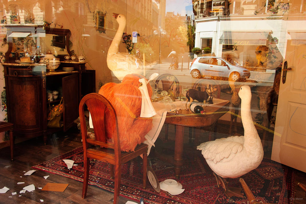 Storefronts No 46 – Jay Maisel