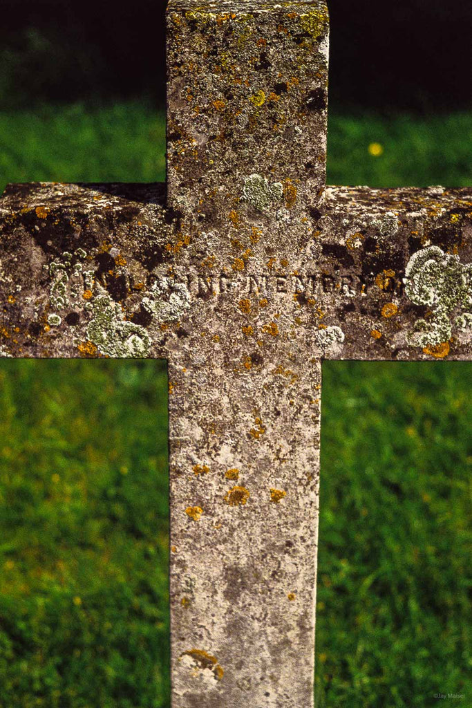 Still Life No 47 – Jay Maisel