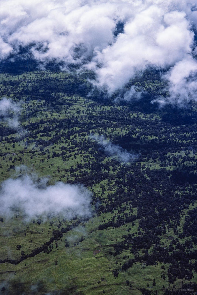 Hawaii Land No 54 – Jay Maisel