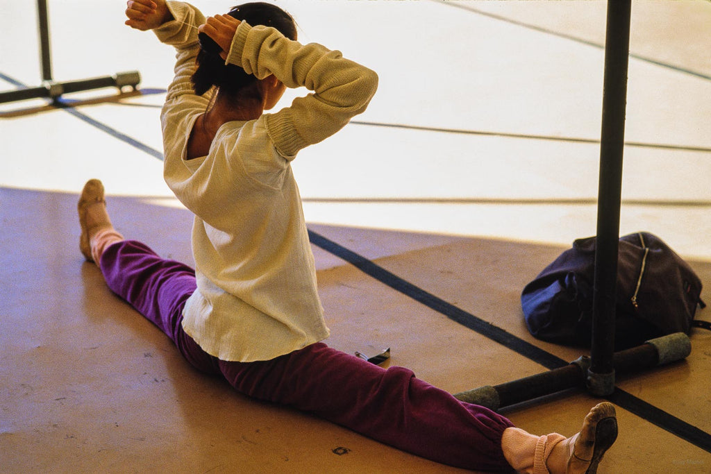 Aspen No 62 – Jay Maisel