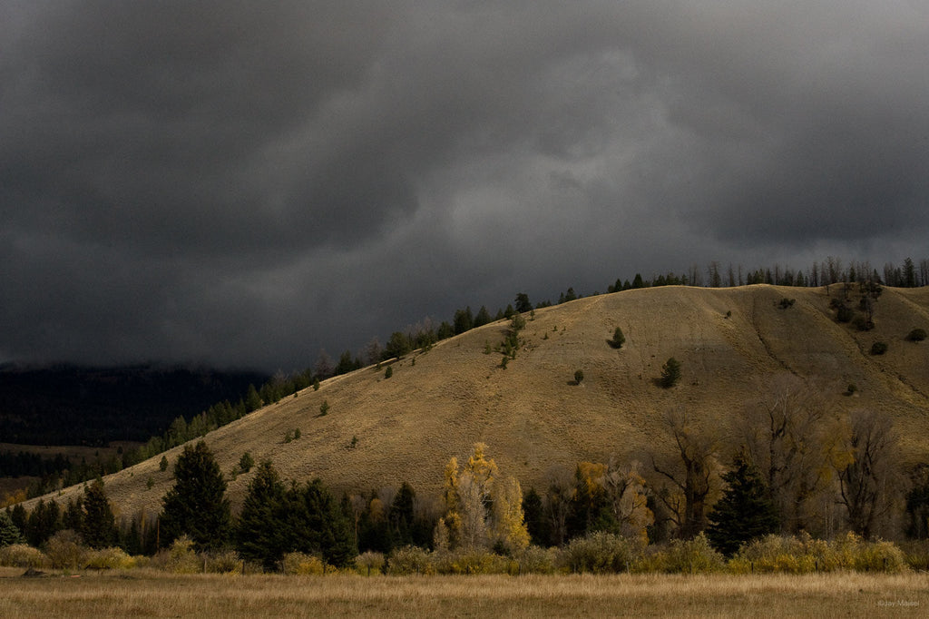 Jackson, WYO No 64 – Jay Maisel