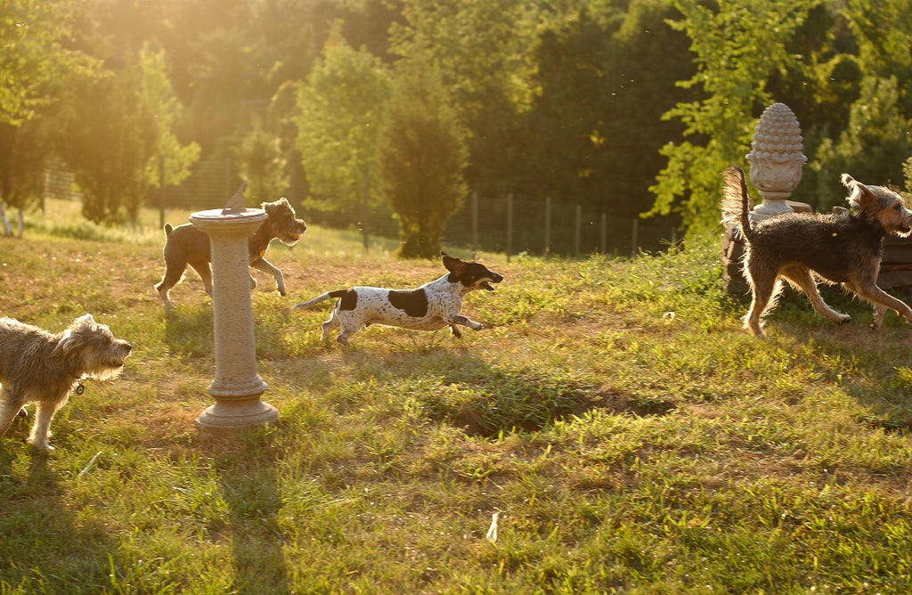 Amanda No 64 – Jay Maisel