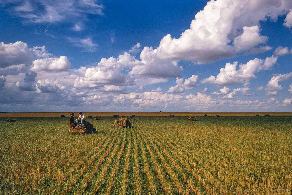 X-USA People No 67 – Jay Maisel