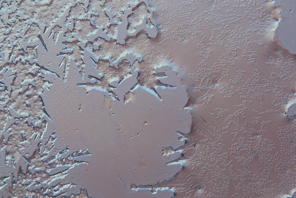 Ice Crystals No 68 – Jay Maisel