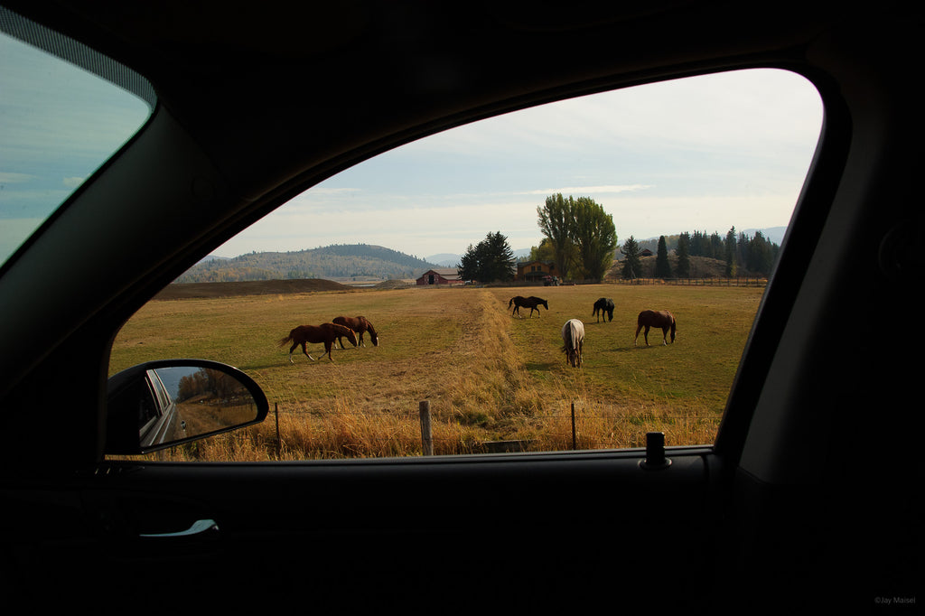 Windows No 69 – Jay Maisel