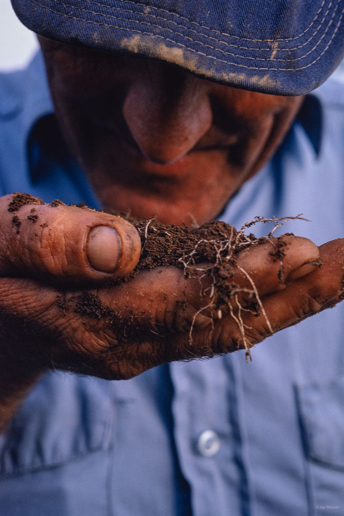 X-USA People No 71 – Jay Maisel