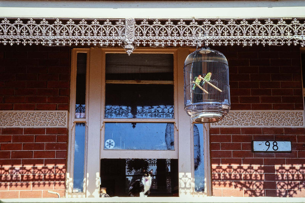 Humor No 72 – Jay Maisel