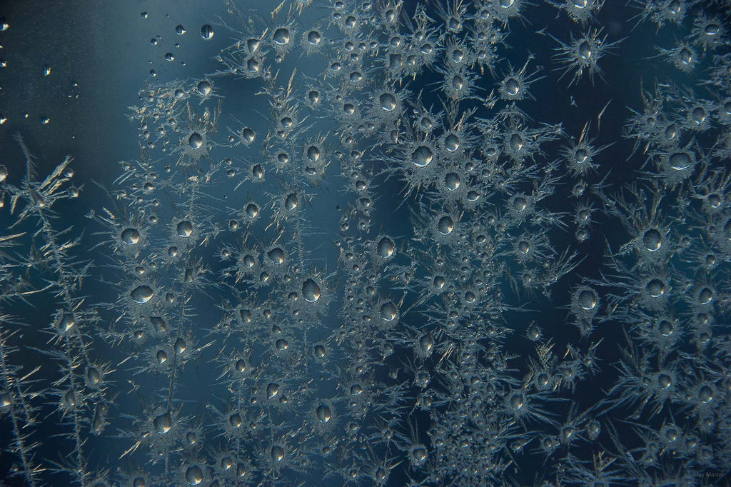 Ice Crystals No 73 – Jay Maisel