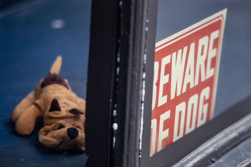 Humor No 73 – Jay Maisel