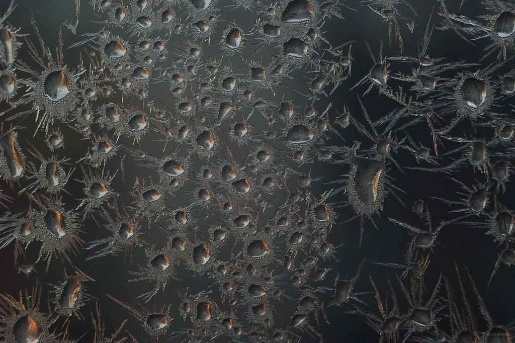 Ice Crystals No 80 – Jay Maisel