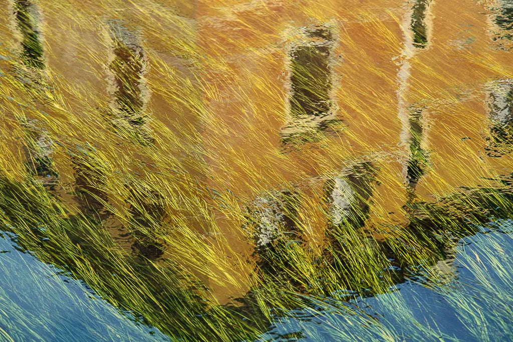 Reflections No 82 – Jay Maisel