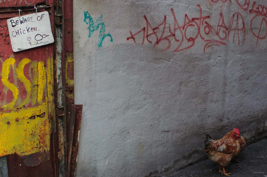 Humor No 83 – Jay Maisel