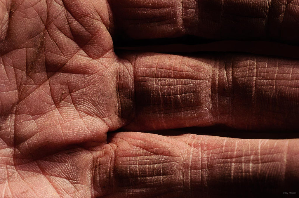 Jay No 84 – Jay Maisel