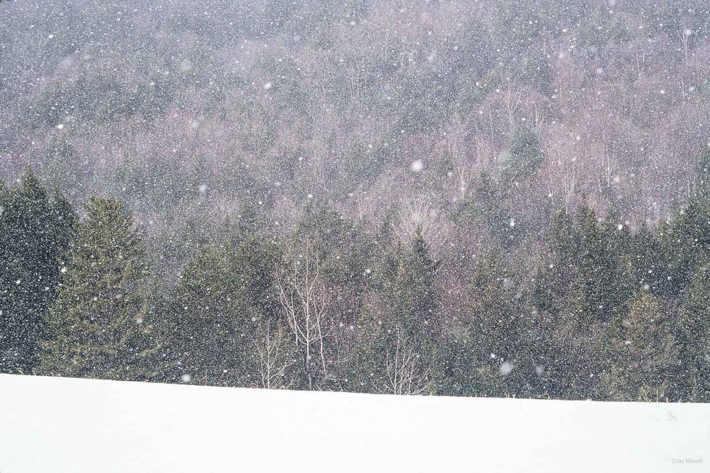 Snow in the Country No 94 – Jay Maisel