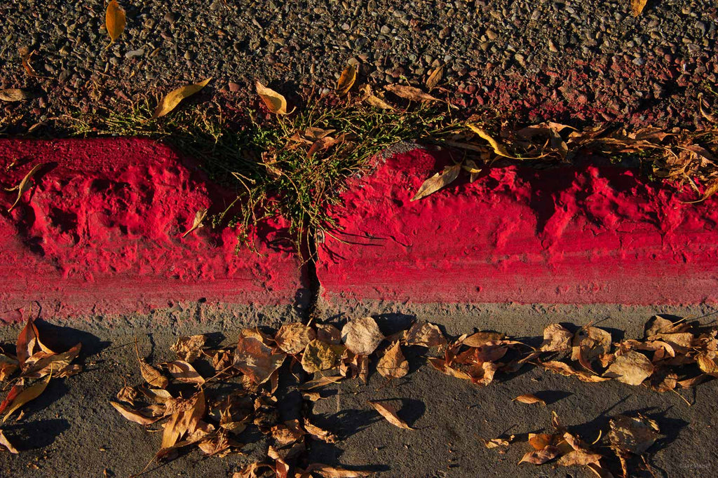 Jackson, WYO No 95 – Jay Maisel