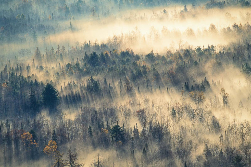 100 No 3 – Jay Maisel