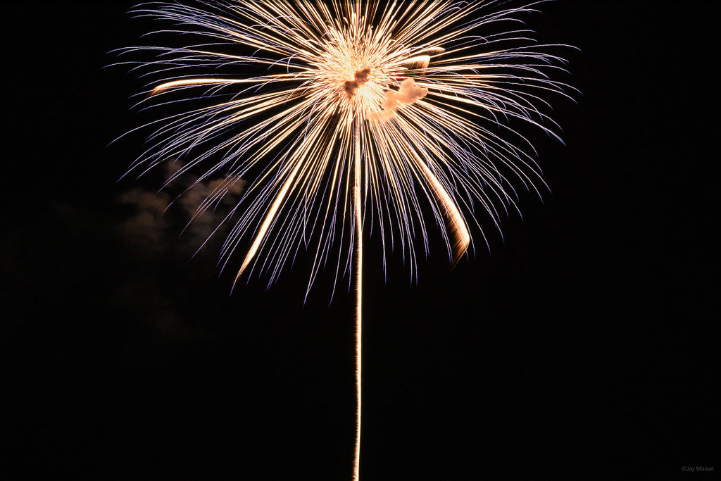 100 No 5 – Jay Maisel