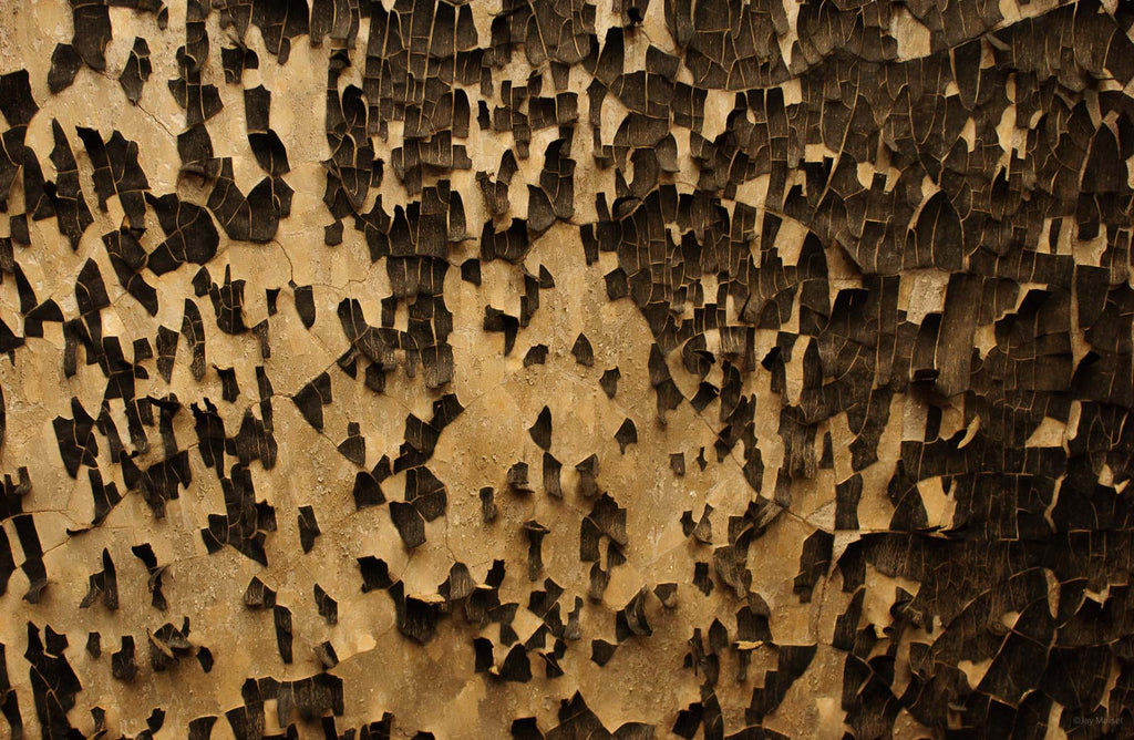 Peeling Paint – Jay Maisel