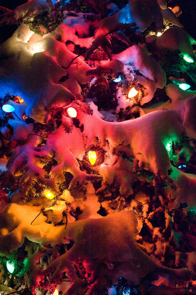 Christmas No 21 – Jay Maisel