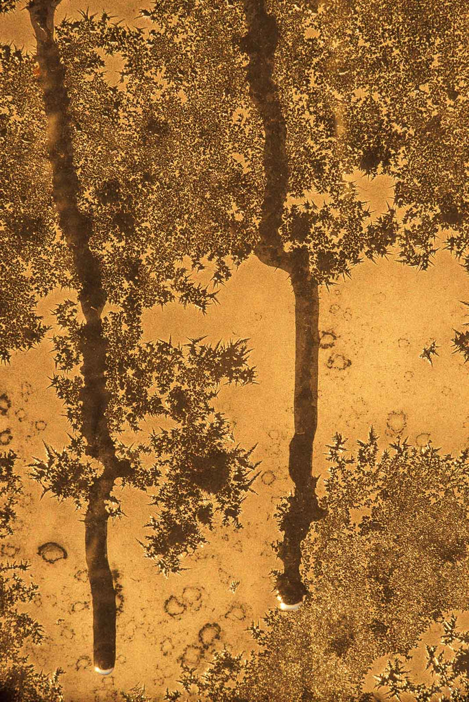 100 No 21 – Jay Maisel