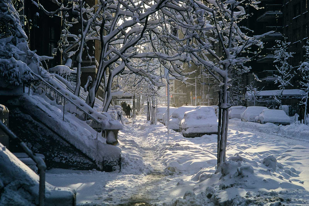 100 No 30 – Jay Maisel