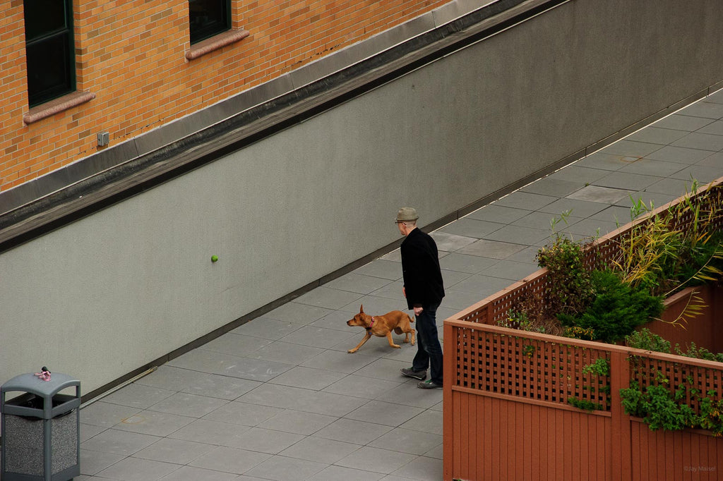 BV People No 31 – Jay Maisel