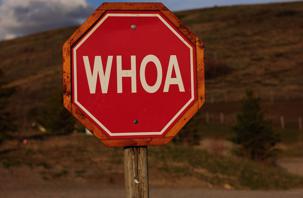 Signs No 34 – Jay Maisel