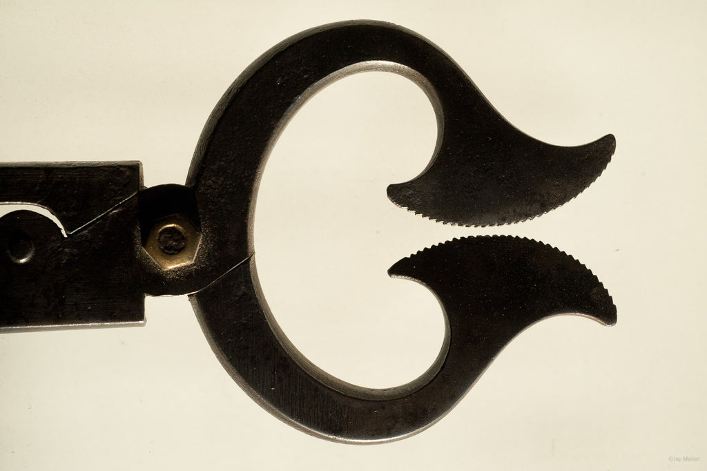 Close-up Sugar Nips – Jay Maisel