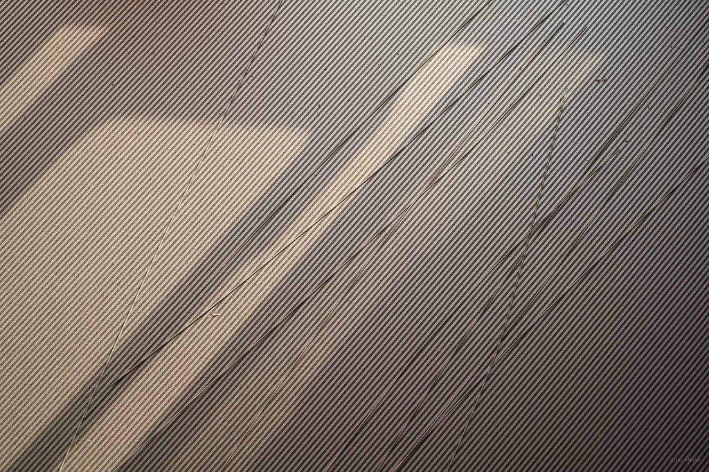 Moiré – Jay Maisel